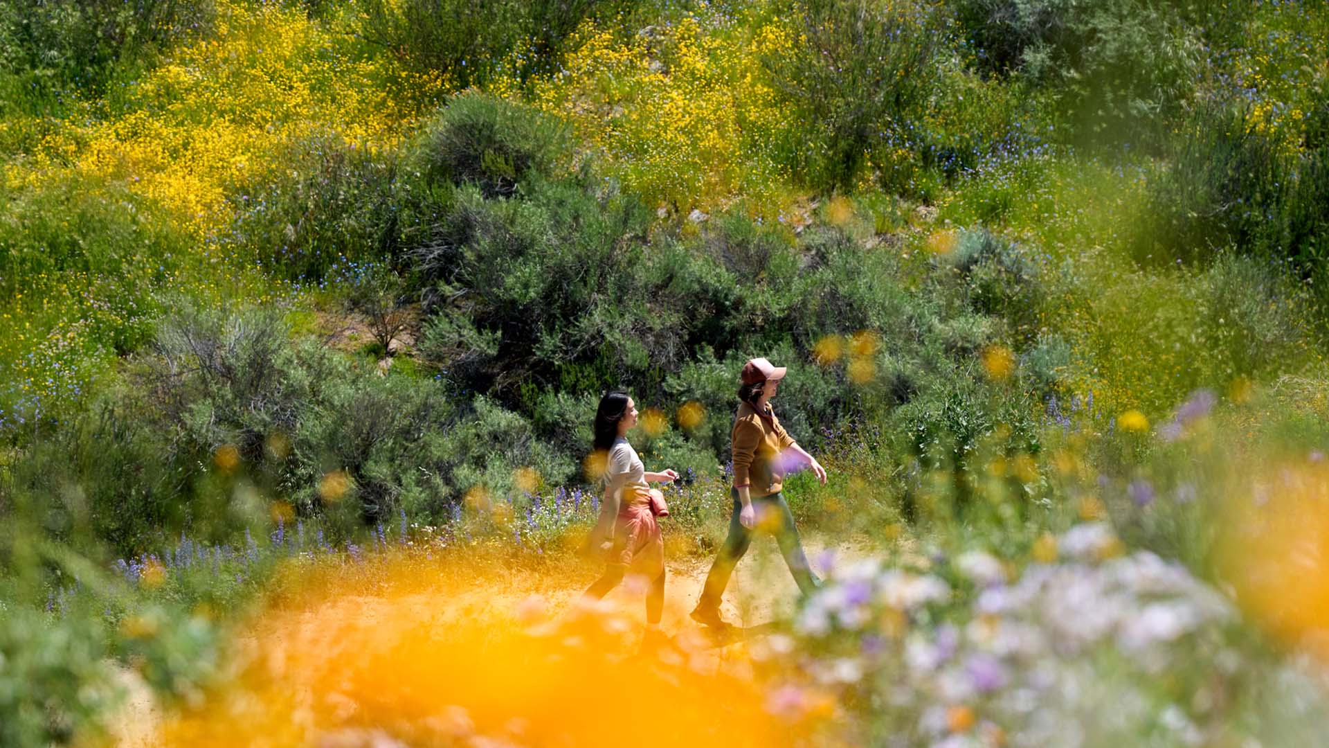 Outdoor Adventures and Recreation in Temecula - Altair Temecula